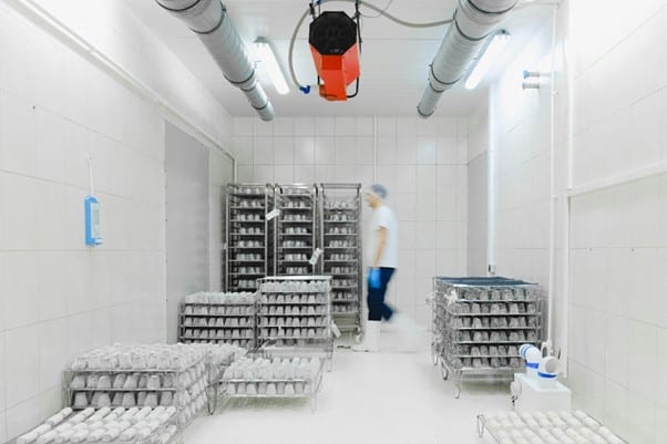 Industrial Storage Sanitation Protocols For Maximum Operational Safety
